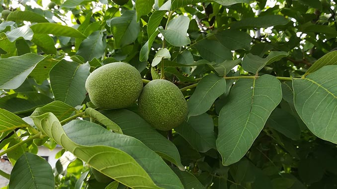 Index of /wp-content/uploads/2021/03/